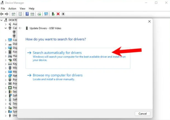 Zoom Crashing On Windows 11 Gogorapid